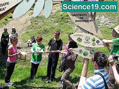 Растения и животни в широколистни гори 💫 Научно Популярен Мултимедиен Портал 2025