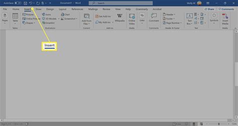 How To Insert A Line In Word