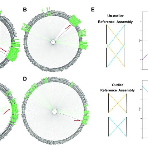 Assembly Accuracy Affects Phylogenetic Tree Analysis A The Assembly