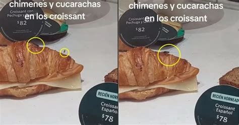 ¿falta De Higiene Captan Cucarachas En Comida Exhibida En Importante Tienda De Café Video