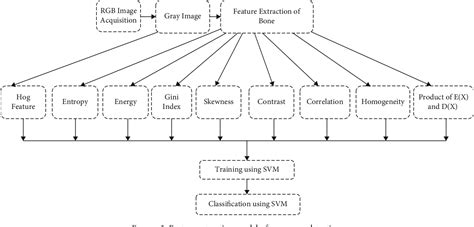 Figure 3 From Bone Cancer Detection Using Feature Extraction Based