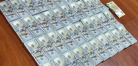 Українець намагався вивезти за кордон майже пів мільйона доларів готівкою фото