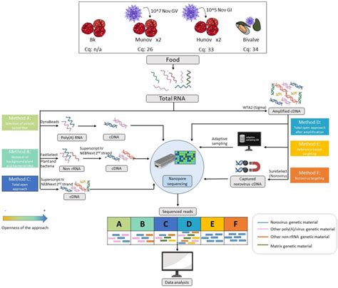 Bioinformatics Workflow After Sequencing With Ont Minion Or Flongle Download Scientific