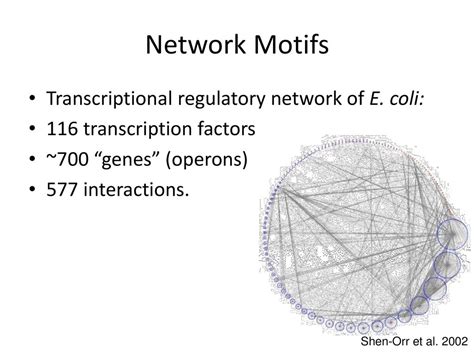 Csci2950 C Lecture 13 Network Motifs Network Integration Ppt Download