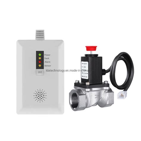 Intelligent Detection Independent LPG Gas Natural Gas Combustible Gas Leak Detector Alarm With