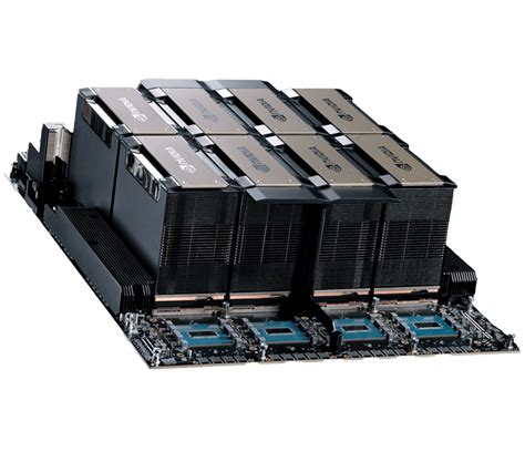 Nvidia Hgx B200 Gpu Servers