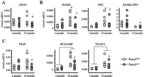 Deletion Of Panx1 In Osteocytes Decreases Osteoclastic Gene Expression
