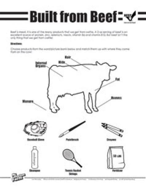 Learn About Beef Free Ag Education Resources