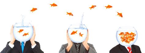 Could Not Get Vhd Guid Live Migration Sysclouddev