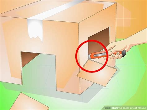 How To Build A Cat House Steps With Pictures WikiHow