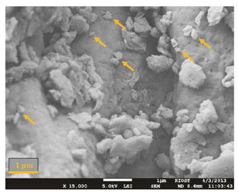 Sources Detection And Occurrence Of Nanoplastic