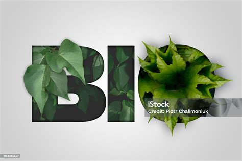 바이오 레터링 현대 텍스트와 창조적 인 타이포 그래피 녹색 및 봄 잎 자연 개념 디자인입니다 디자인 프린트 제품 0명에 대한 스톡 사진 및 기타 이미지 Istock