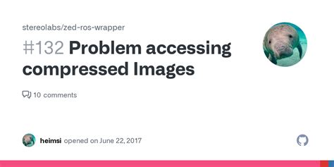 Problem Accessing Compressed Images Issue Stereolabs Zed Ros Wrapper GitHub
