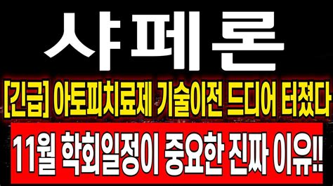 샤페론 주가 전망 추가폭등재료 곧터집니다 지금부터 절대로 단1주도 털리지마세요 11월 학회일정 모르면 당할수밖에 없습니다