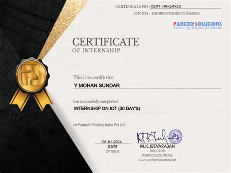 Internship Iot Panteshsolutions Professionalgrowth Techexperience