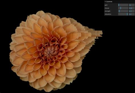 Pixel Distortion Effect With Threejs Codrops