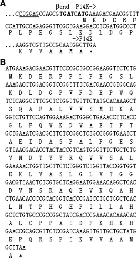 potential ribosome binding site of p14k and the codon optimized