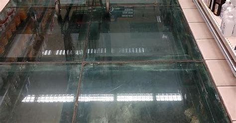 I Dont Travel But One Time I Visited My Brother In Italy Vague Descriptions Included Album