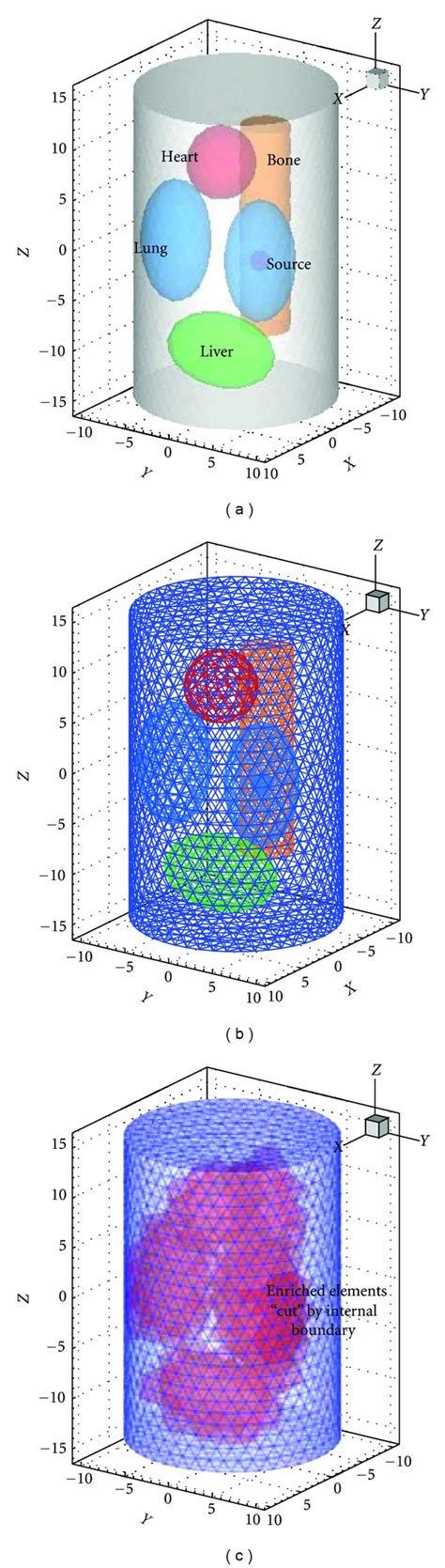 A Heterogeneous Phantom B The Element Mesh Of Fem And C Element