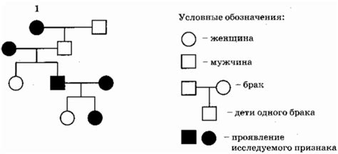 Задание №9946 По изображённой на рисунке родословной определите