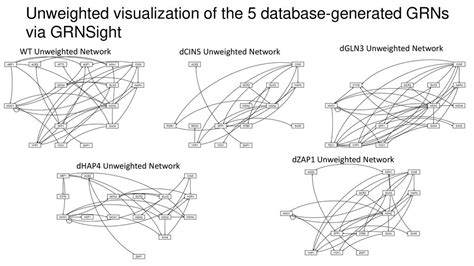 GRNmap Testing And Results Ppt Download