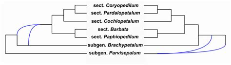 Bayesian Mcmc Phylogenetic Networks Using Gene Tree Topologies