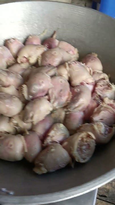 Ulo Ng Manok Trending Viral Satisfying Asmr Teambgm Goodvibes