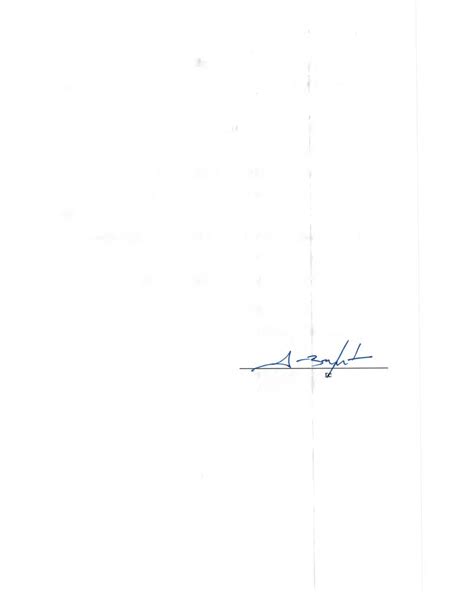 PdfDocument Render Producing Blank Pages Issue Pvginkel PdfiumViewer GitHub