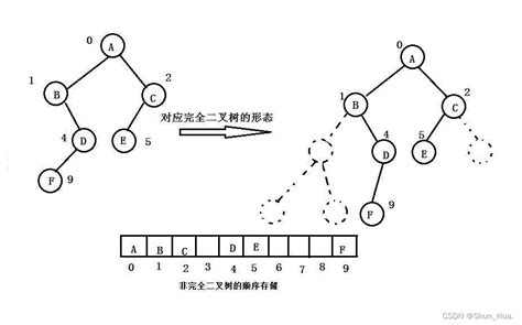 【数据结构】二叉树——顺序结构 二叉树的顺序存储结构 csdn博客