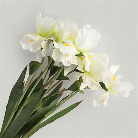 Hsh Iris Umjetni Cvijet 76 Cm Bijeli Home Sweet Home