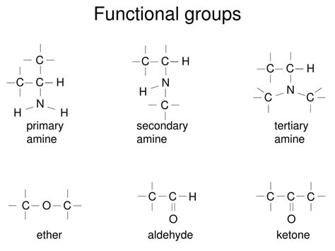 Ppt Functional Groups Powerpoint Presentation Free Download Id3702929