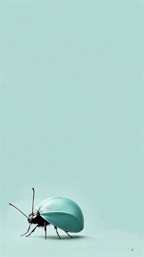Bug On A Panel Free Stock Photo Public Domain Pictures