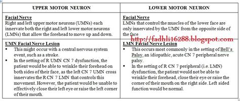 Upper Motor Neuron Vs Lower Motor Neuron Medik Ukm