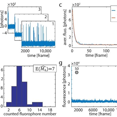 Single Molecule Experiments A First Frame T 1 Of A Recording Of