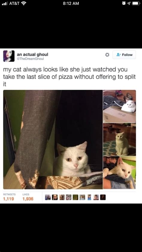 [bug] When Trying To Share Contact Section Is Grayed Out R Iosbeta