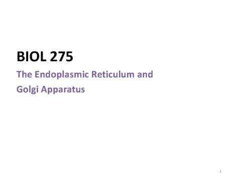 Biol 275 Lecture Notes Endoplasmic Reticulum And Golgi Apparatus