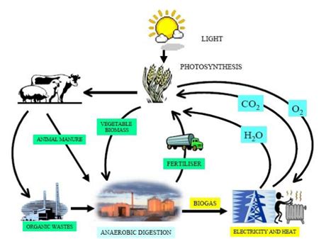 The Cycle Of Biogas Harrys 2011 Download Scientific Diagram