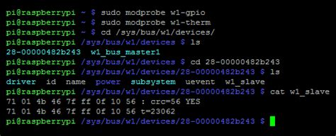 Using DS B Digital Temperature Sensors With The Raspberry Pi Raspberry Pi Spy