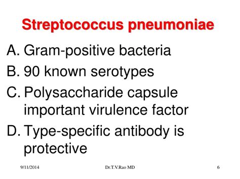 Ppt Streptococcus Pneumoniae Pneumococcus Powerpoint Presentation Free Download Id 4236739