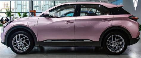 New Electric Neta U Suv Pro 400 Tlp Battery Electric Sports Car And