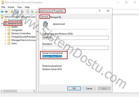 Windows Server 2019 Domain Functional Level Ve Forest Functional Level Yükseltme İşlemi Sistem