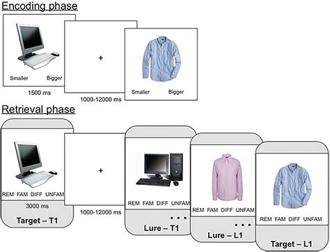 Figure 1 From Modulation Of Target Recollection And Recollection Rejection Networks Due To