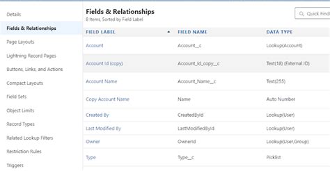 Crm Analytics Salesforce Output Connection