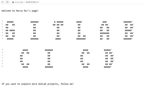 Havva Nur Top On Linkedin Gitlab Ci Cd Gitlabrunner Docker Python