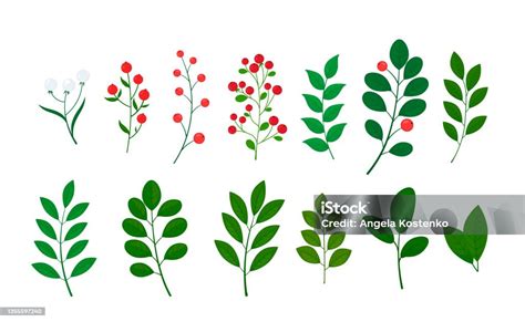 허브 잎 열매의 식물 원소 흰색에 야생 과 정원 단풍 잔디 가지의 컬렉션 개체 그룹에 대한 스톡 벡터 아트 및 기타 이미지 개체 그룹 결혼식 계절 Istock