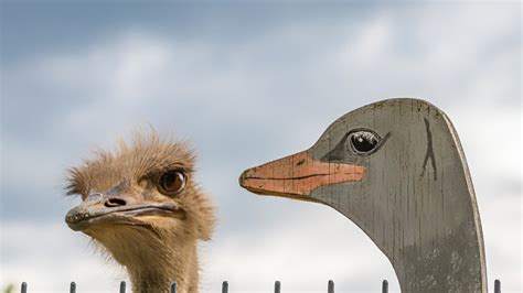 The Age Of Ai Deception Why In Person Verification Is More Critical Than Ever