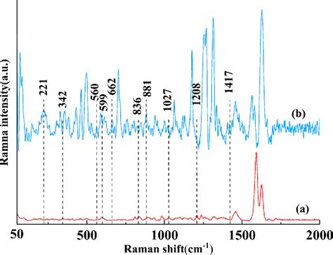 Figure 1 From Surface Enhanced Raman Spectroscopy Method For Classification Of Doxycycline