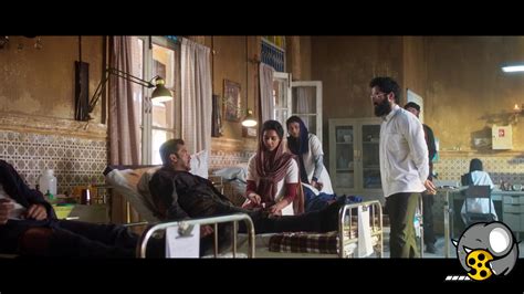 فیلم سینمایی ببر زنده است فیلو