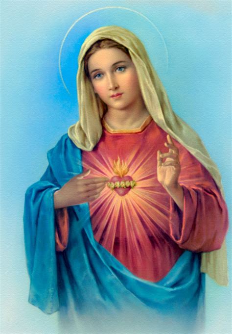 Oración A El Inmaculado Corazón De María Consagración Salve Regina
