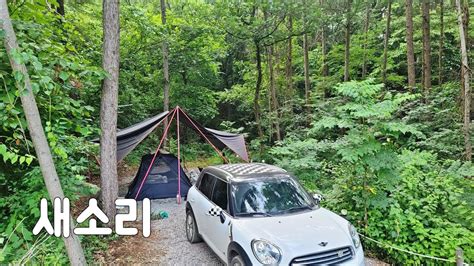 산속 노지 같은 캠핑장에서 힐링 캠핑하기 폭염 속에서 먹부림 캠핑 홍천 두미리 관광농원새소리 캠핑장 Youtube